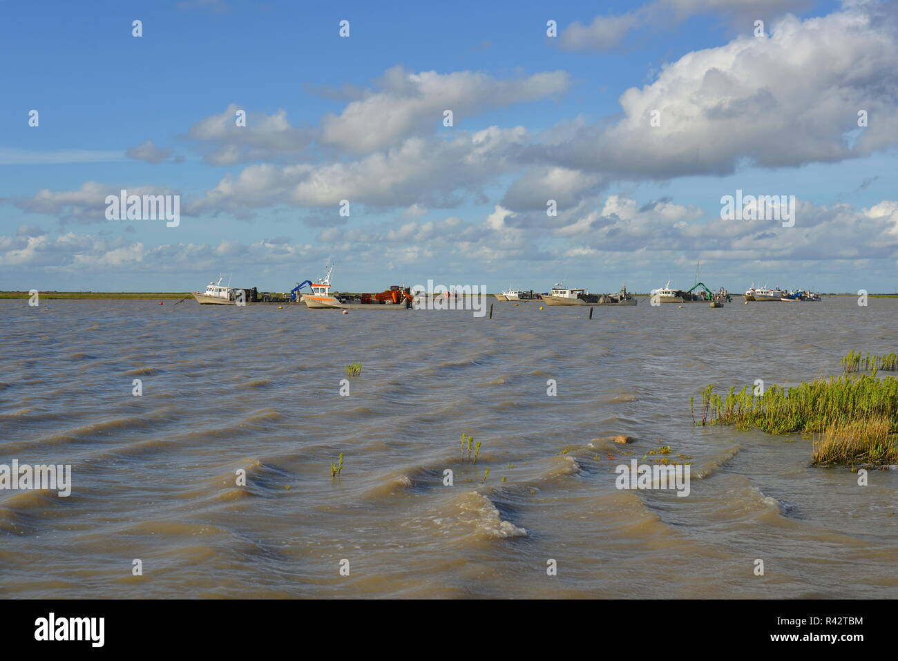fishing boats in the port of charron Stock Photo - Alamy