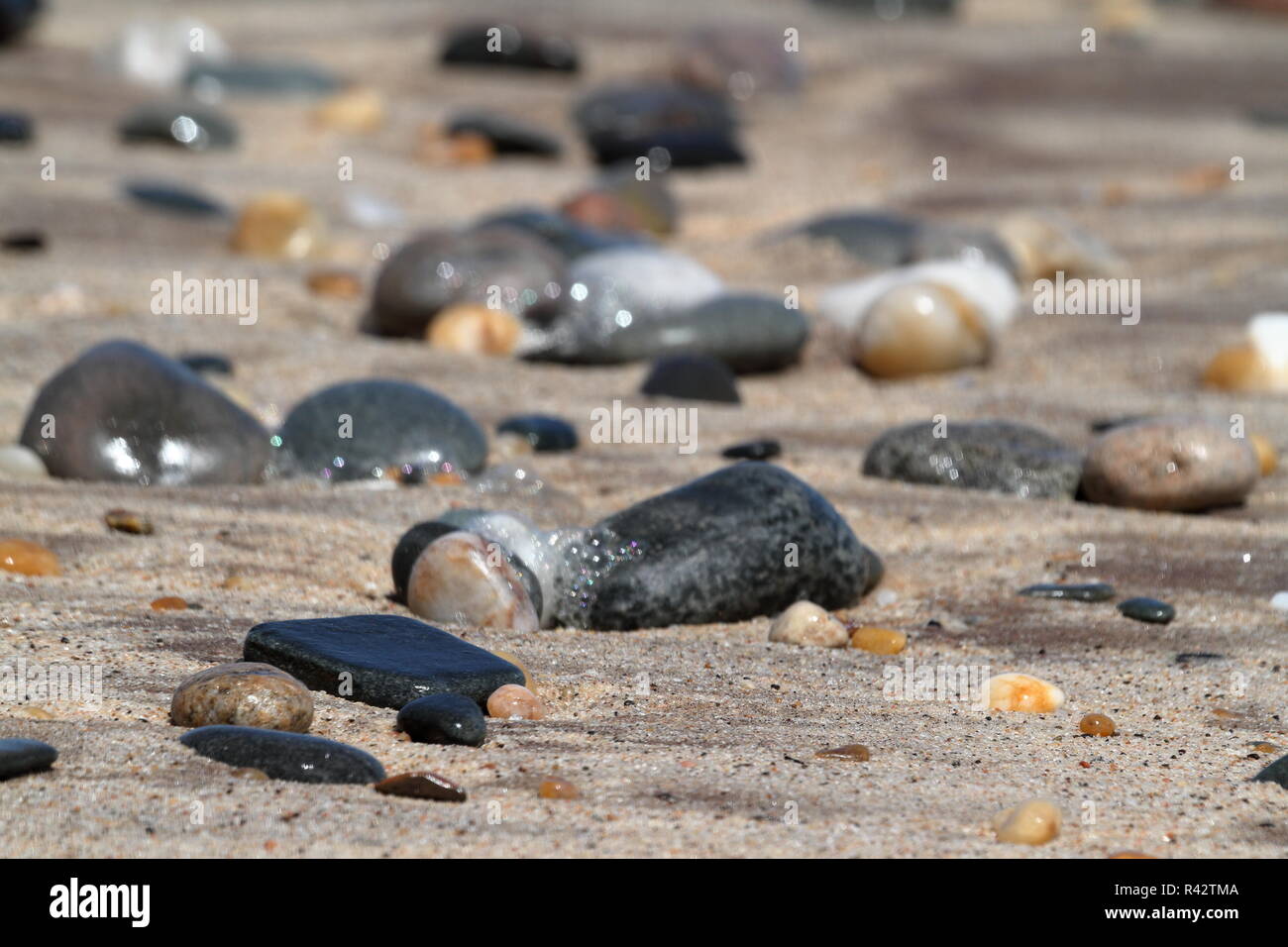 pebble on the beach Stock Photo - Alamy