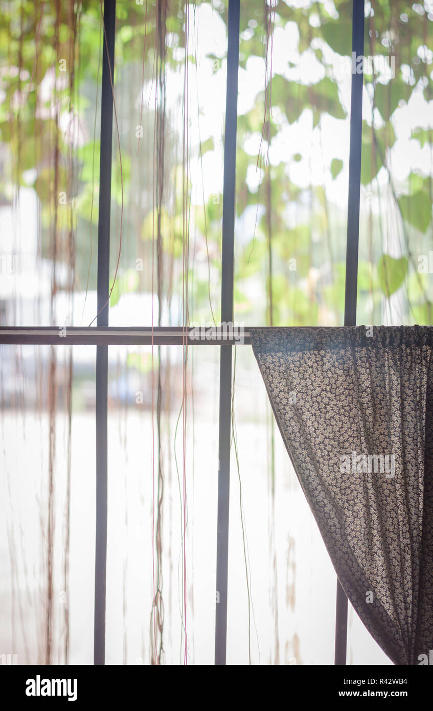 Natural window light in the afternoon Stock Photo - Alamy