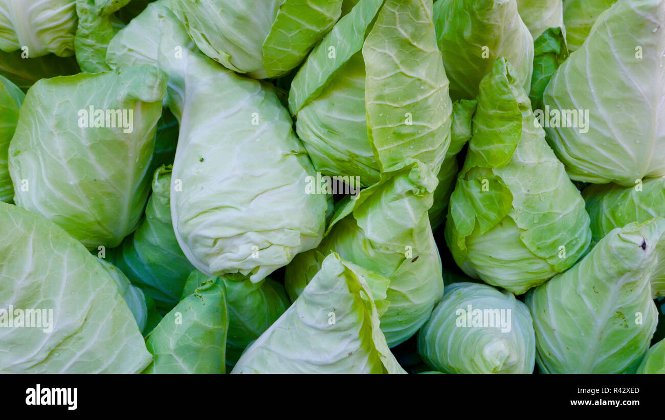 pointed cabbage on a market stall Stock Photo - Alamy