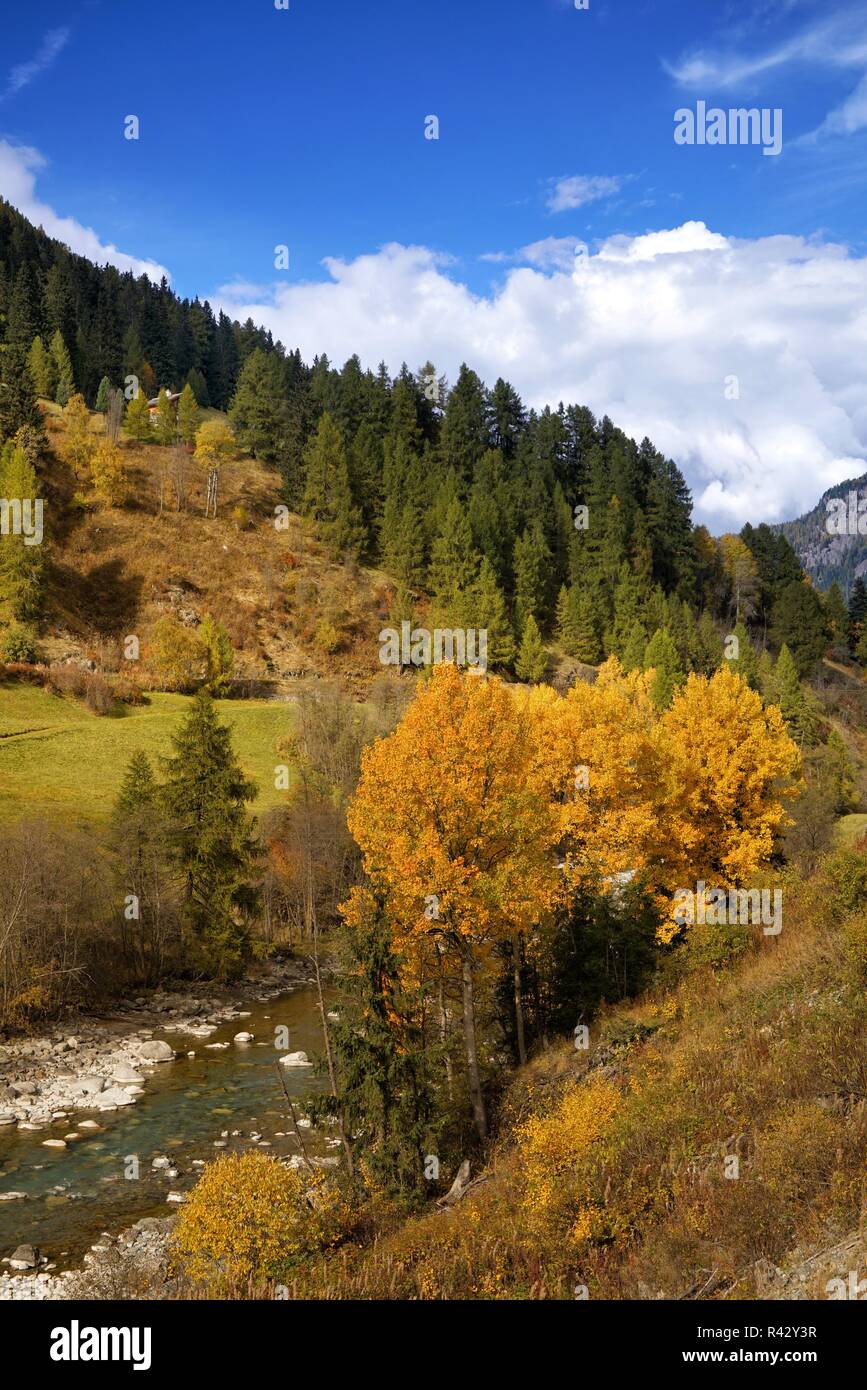 autumn in the engadin Stock Photo - Alamy