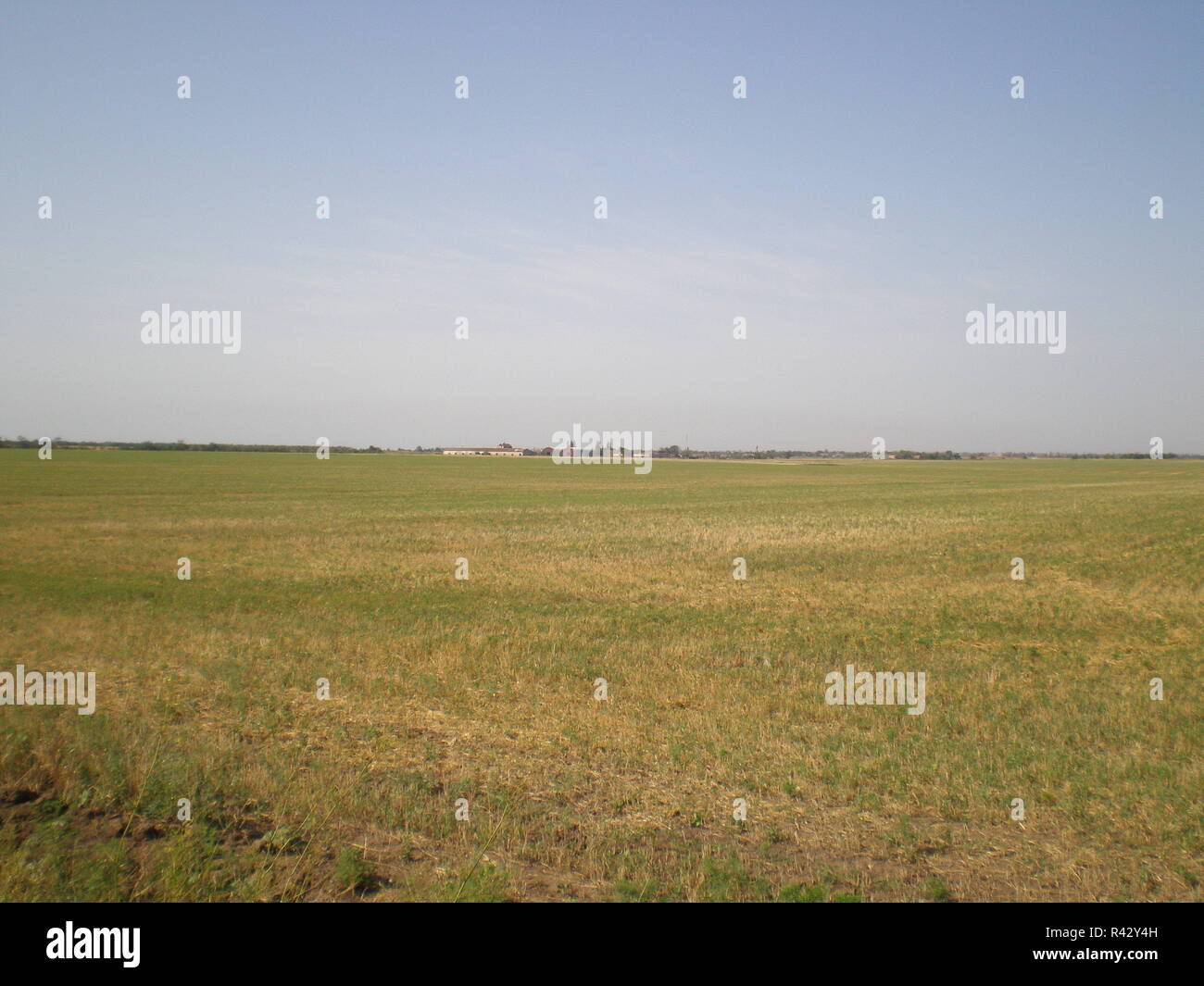 Green field in the steppes Stock Photo - Alamy
