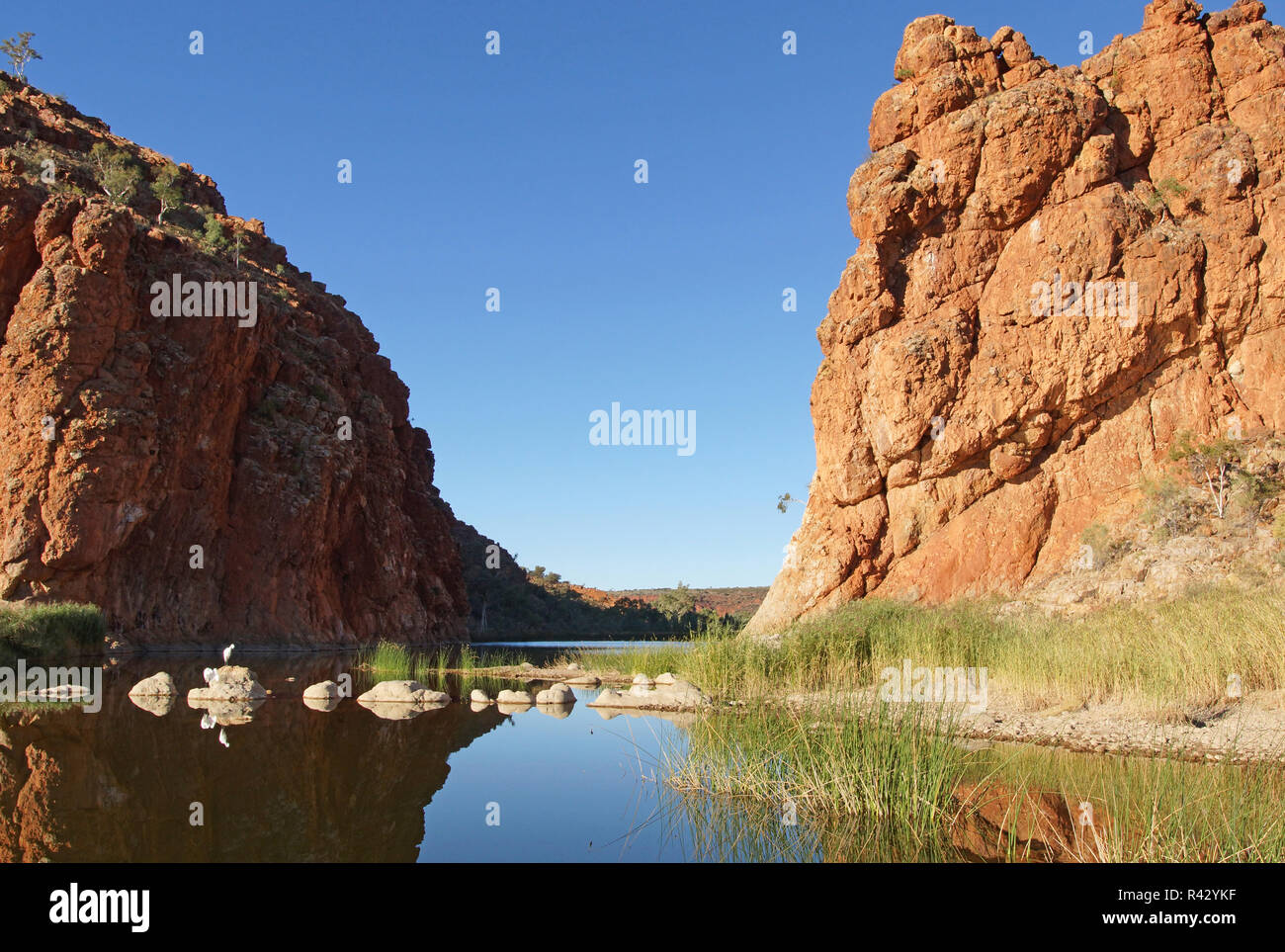 West MacDonnell National Park, Australien Stock Photo - Alamy
