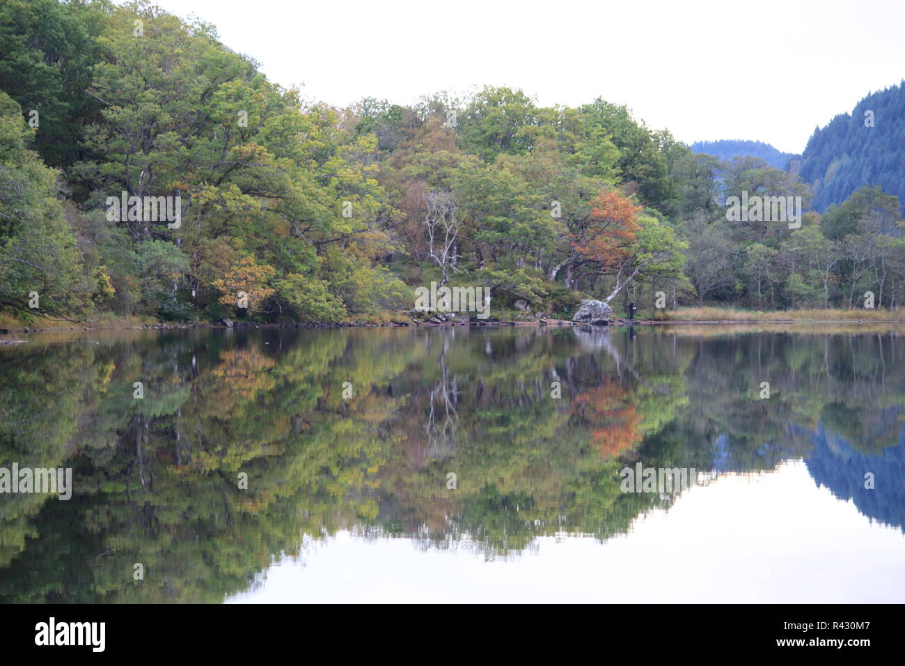 reflection in the lake Stock Photo - Alamy