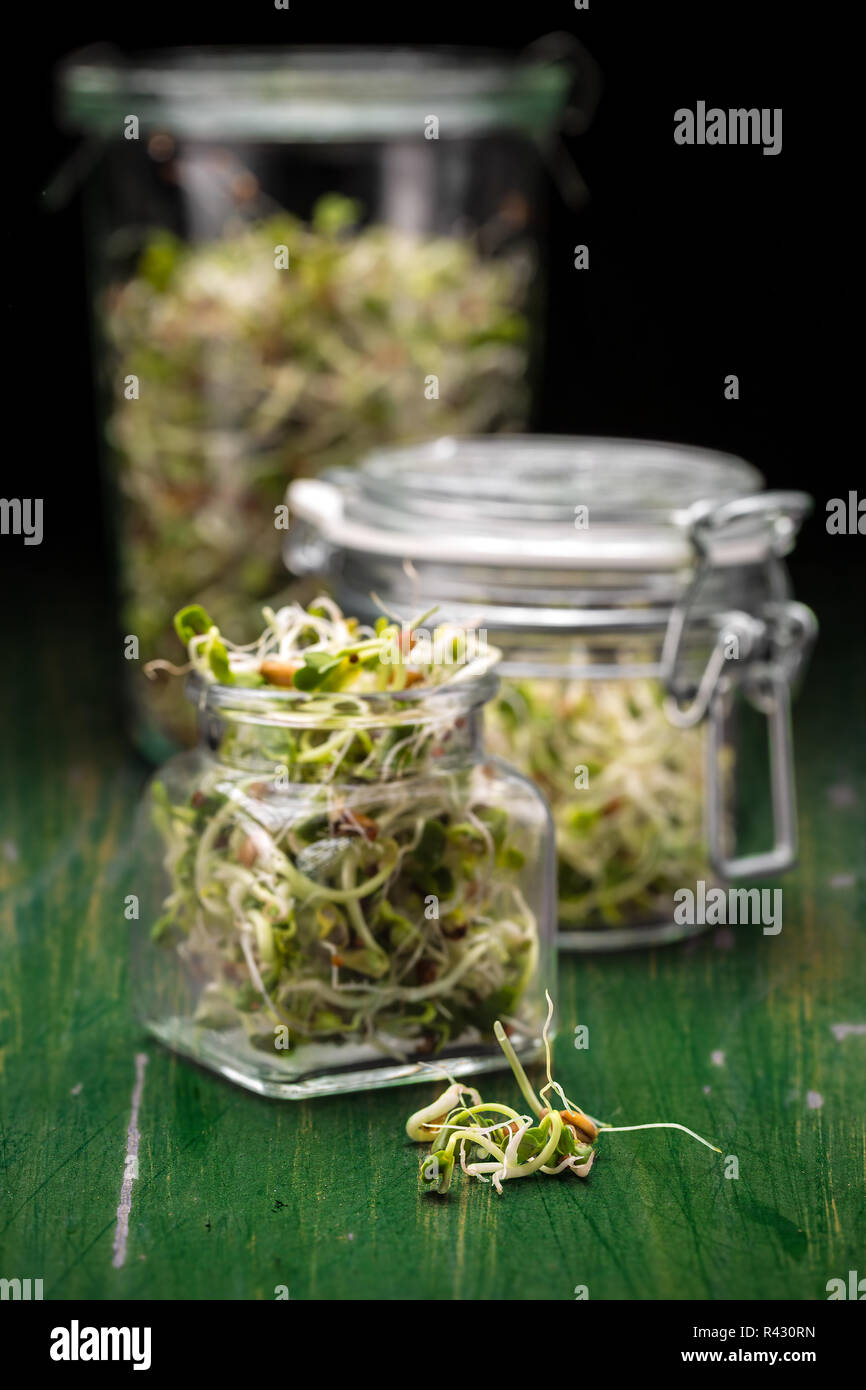 Germinated alfalfa seeds hi-res stock photography and images - Alamy