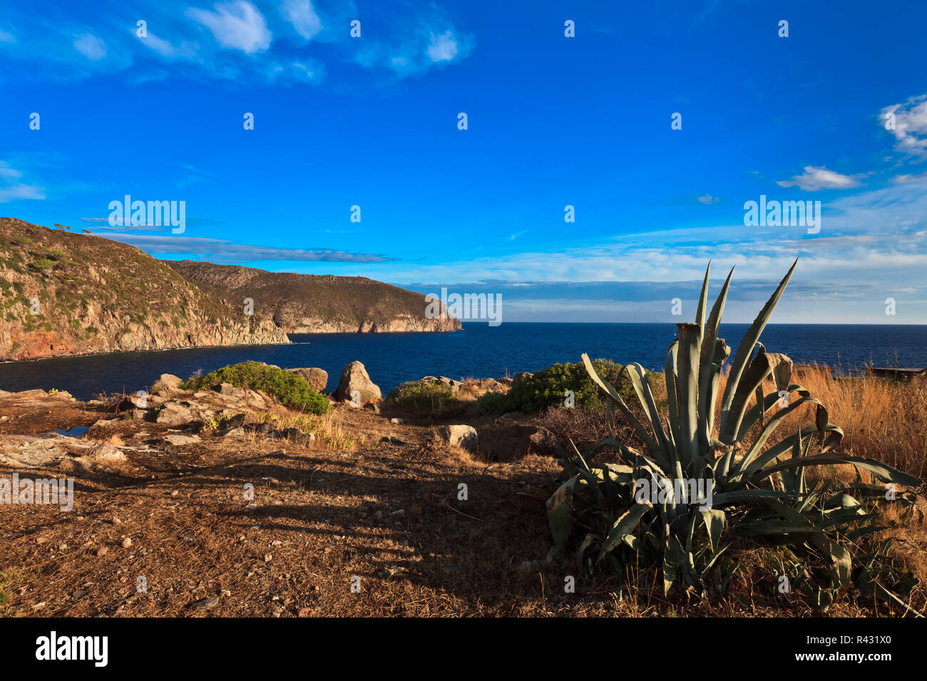 Capraia island harbour hi-res stock photography and images - Alamy