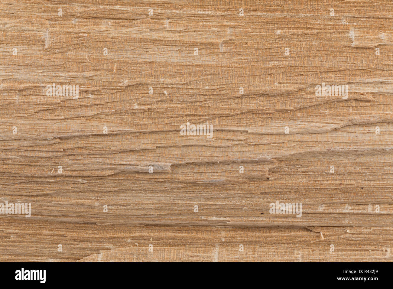 Birch wood texture Stock Photo - Alamy