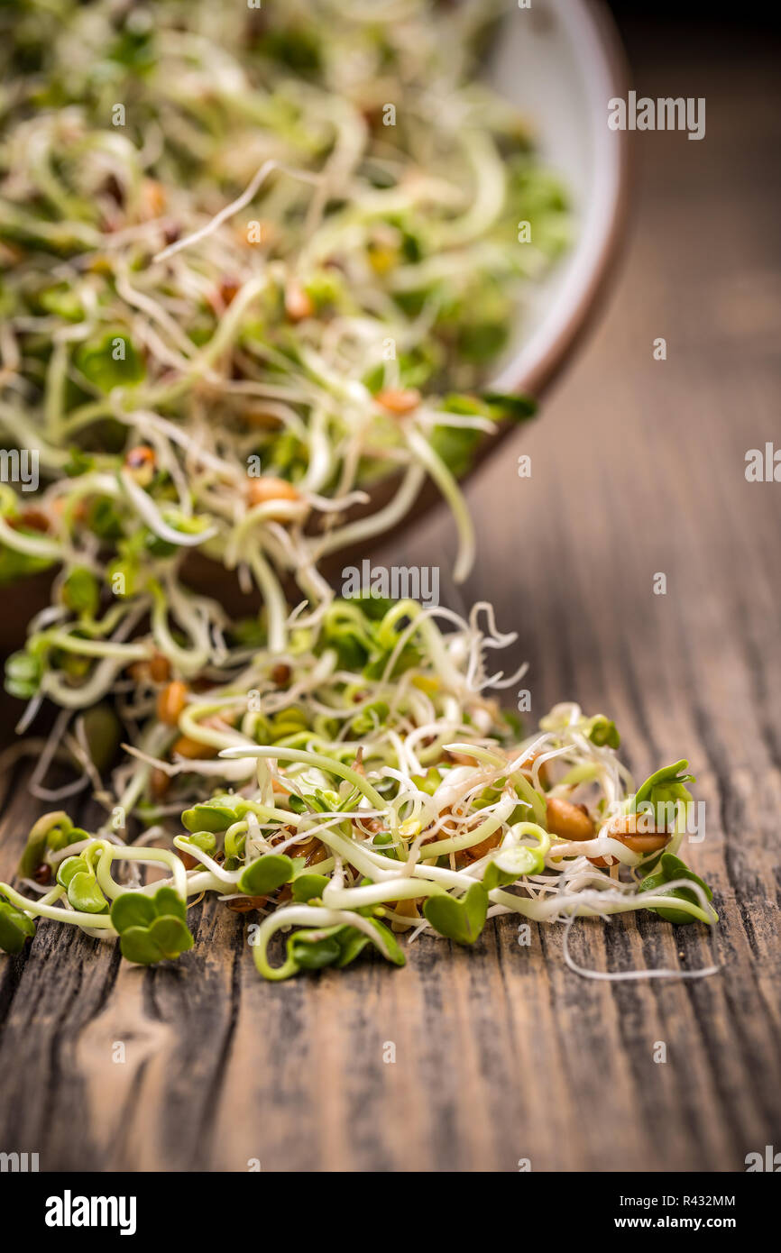 Mix of different sprouts Stock Photo - Alamy