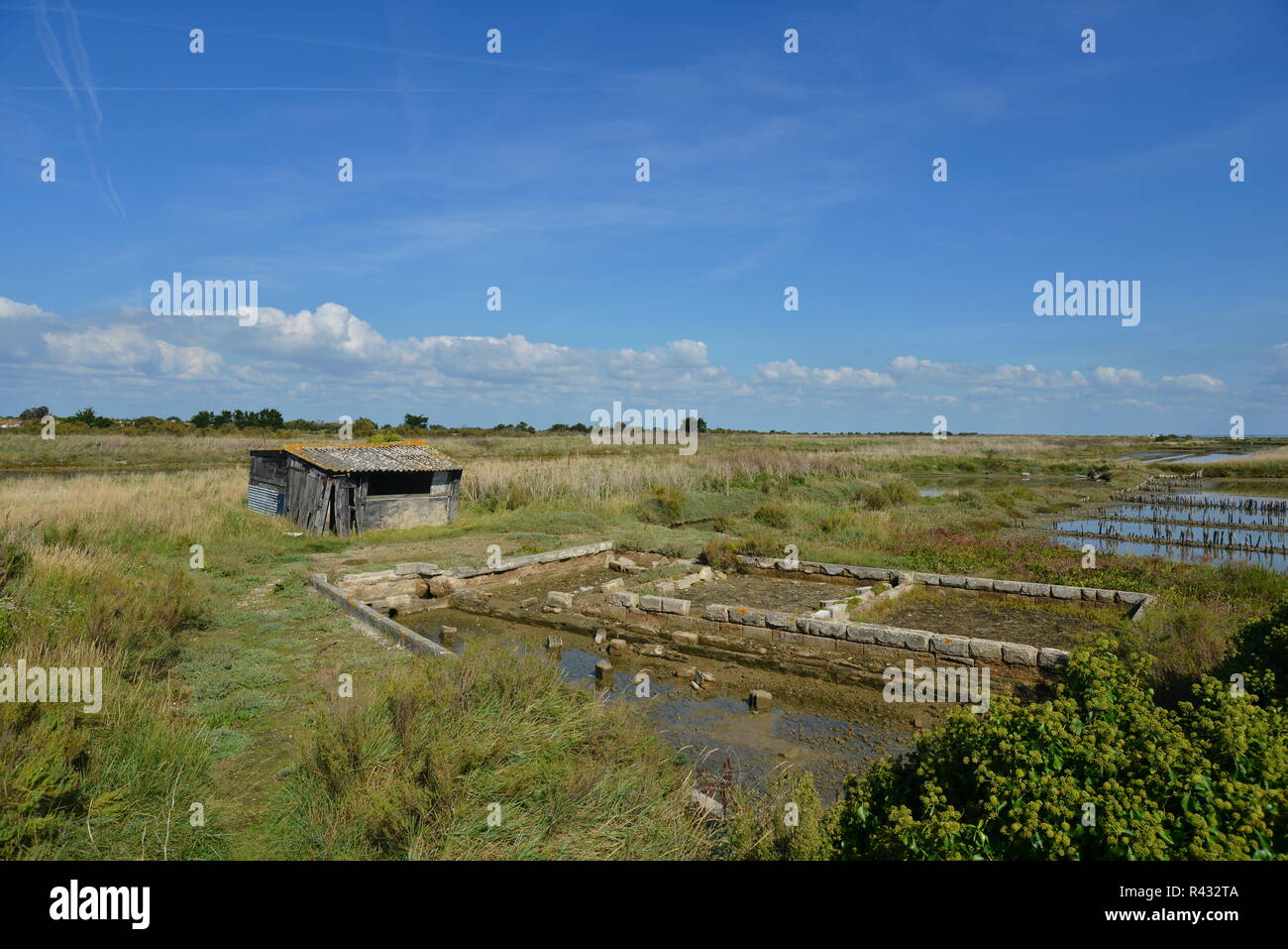 Sumpflandschaft hi-res stock photography and images - Alamy
