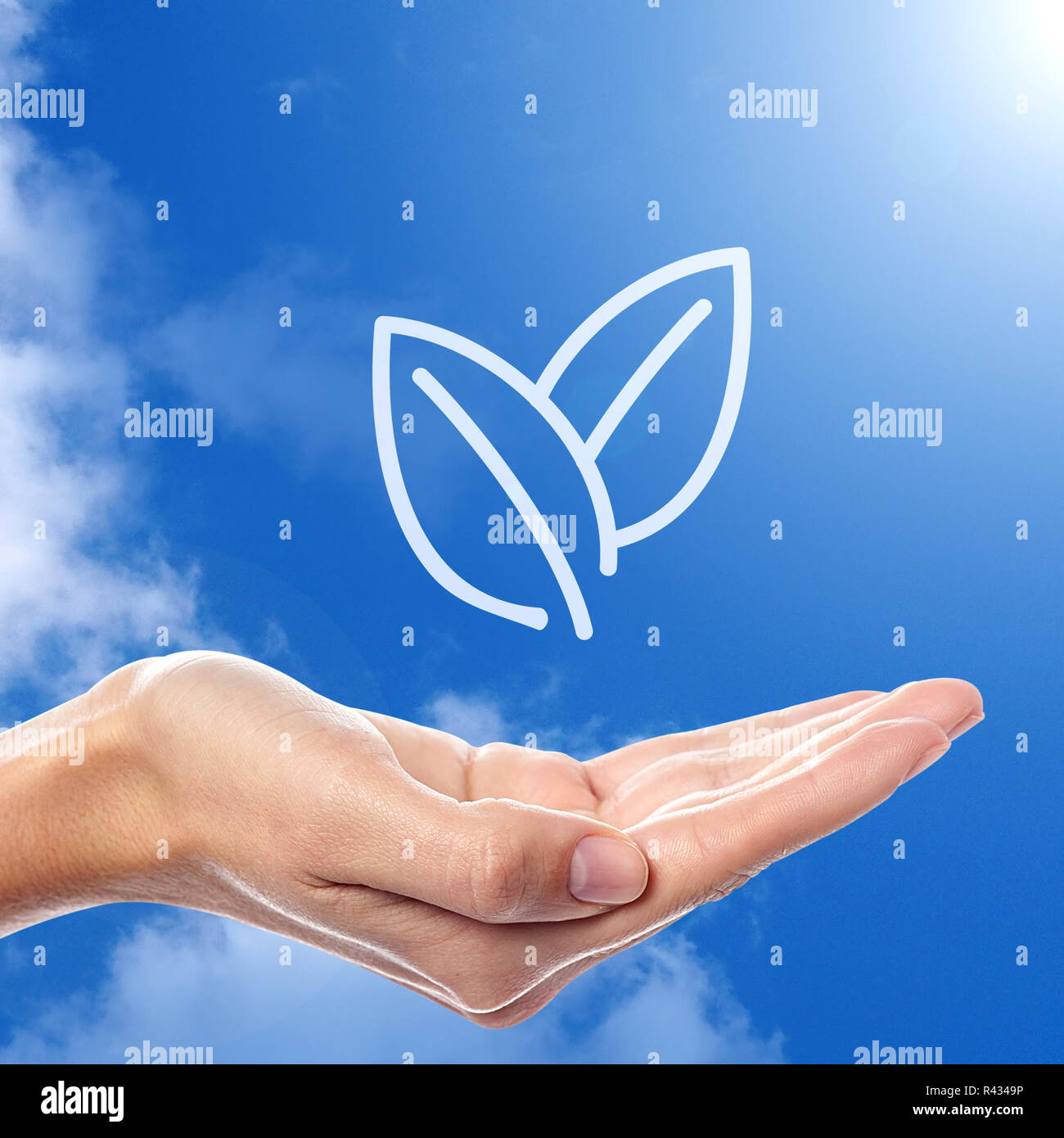 Save trees hi-res stock photography and images - Alamy