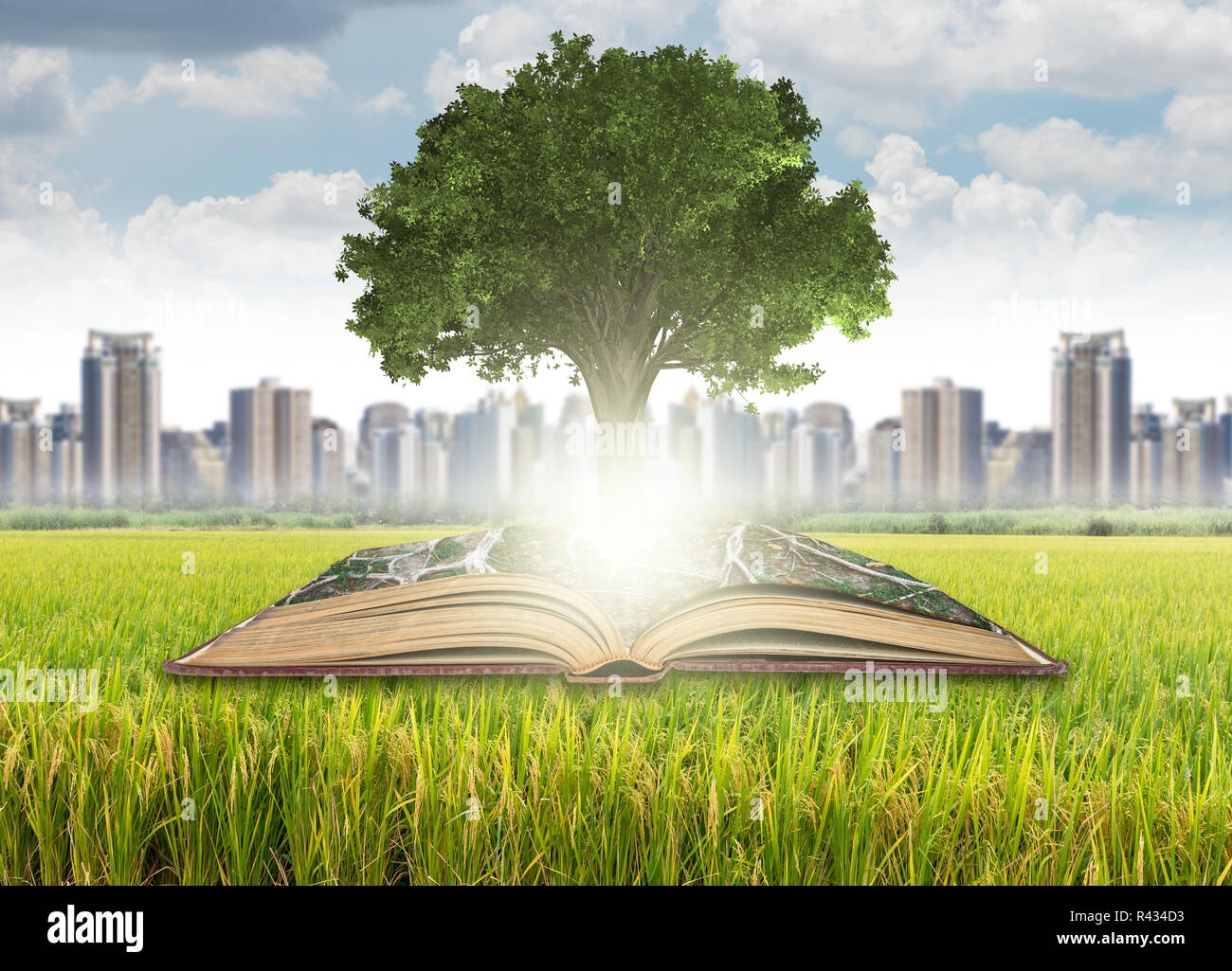Tree growing from the old books over the grass and cityscape background ...