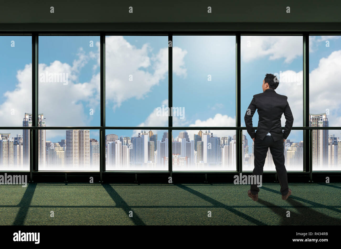 Back side of Businessman looking megalopolis through window, Business ...