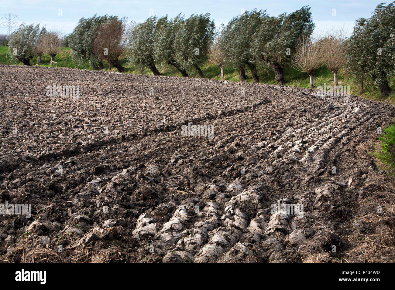 Dutch soil hi-res stock photography and images - Alamy