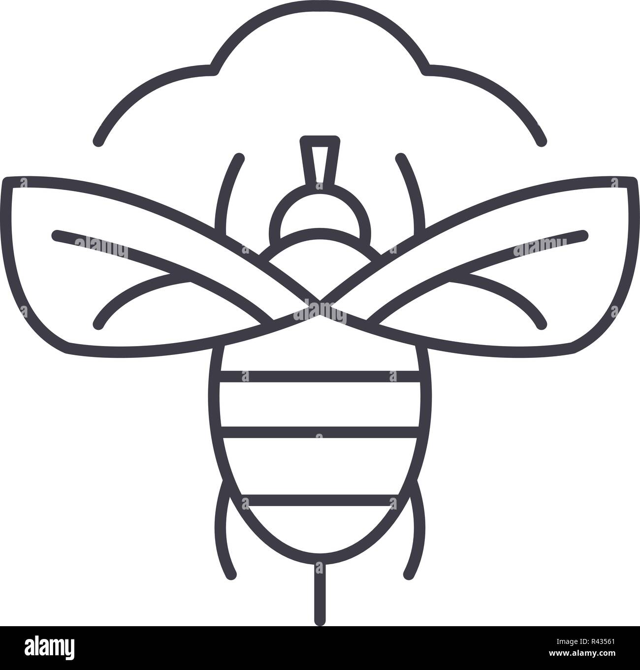 Fly line icon concept. Fly vector linear illustration, symbol, sign ...