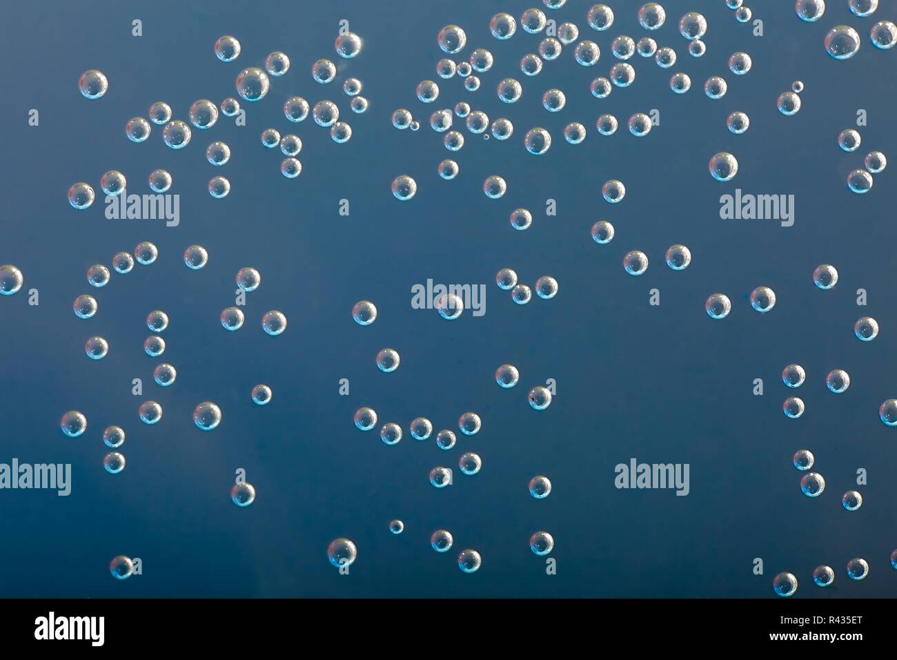Bubbles in water Stock Photo - Alamy