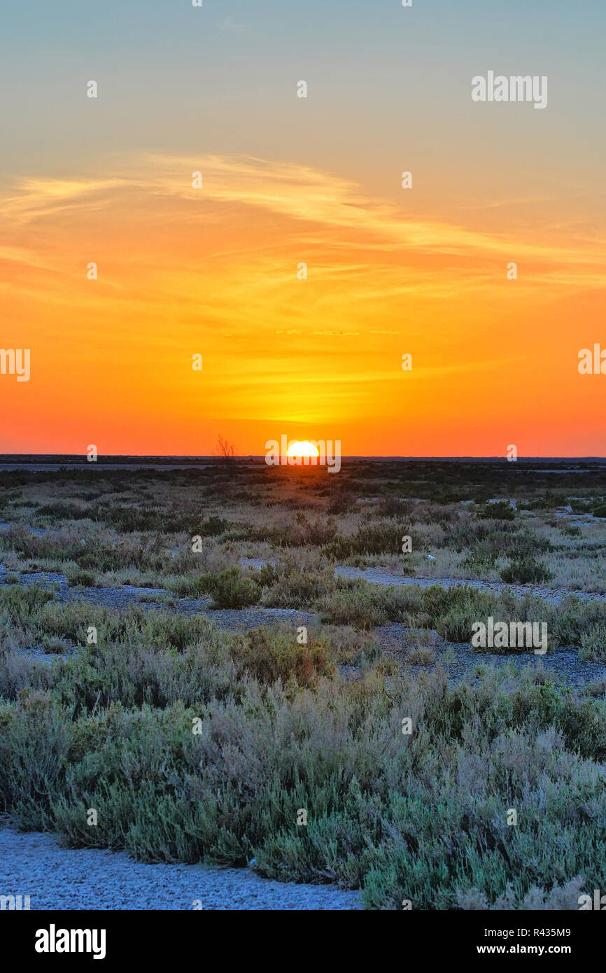 Beautiful sunset on salt lake Chott el Djerid, Sahara desert, Tu Stock ...