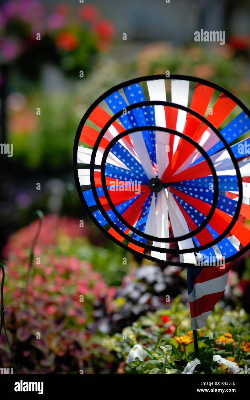 A red, white and blue pinwheel amidst many flowers at a greenhouse ...