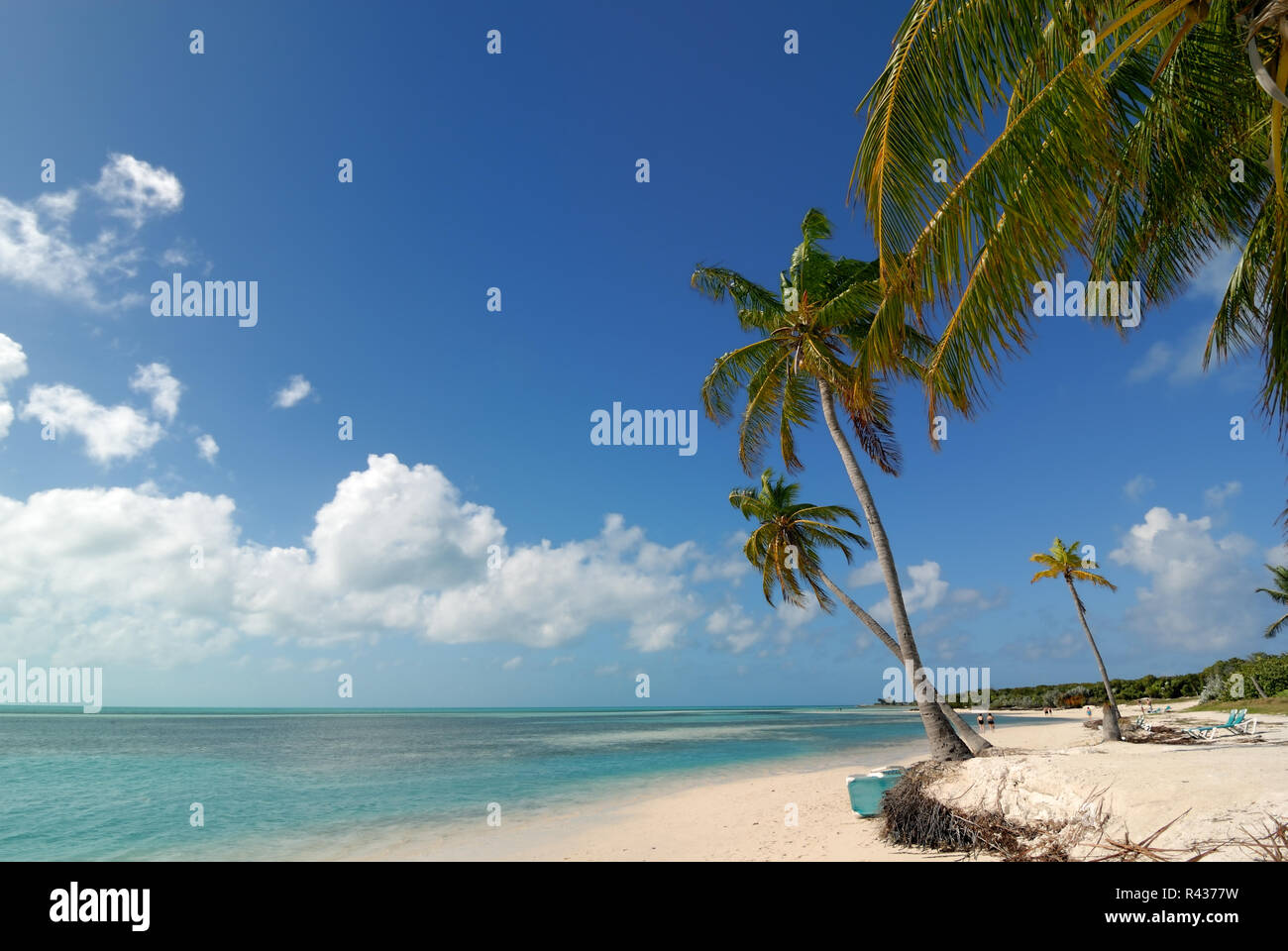 Little Stirrup Cay, Bahamas, is one of the Berry Islands, a collection ...
