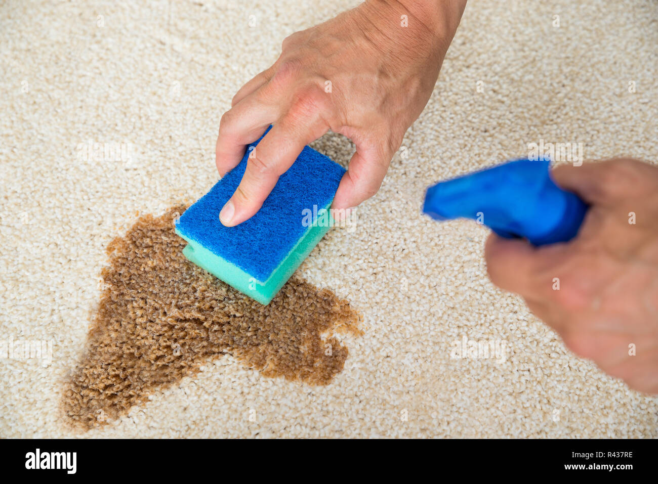 Hand cleaning stain on carpet hi-res stock photography and images - Alamy