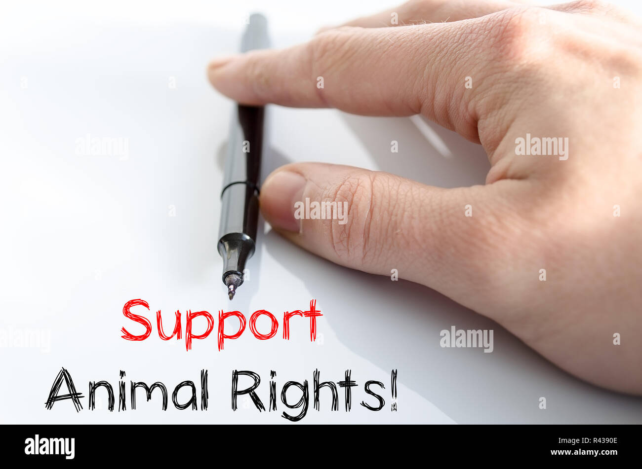 Support animal rights text concept Stock Photo - Alamy