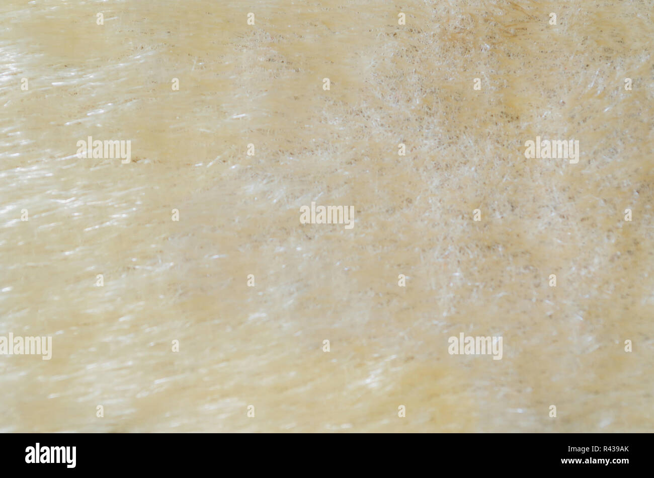 Goat hair fabric hi-res stock photography and images - Alamy