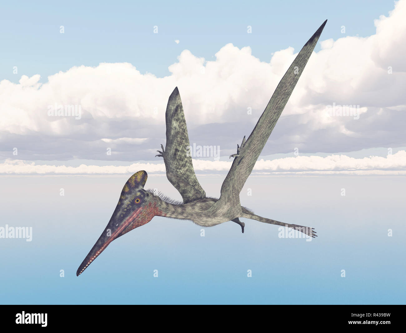 Pterodactylus flying reptiles hi-res stock photography and images - Alamy
