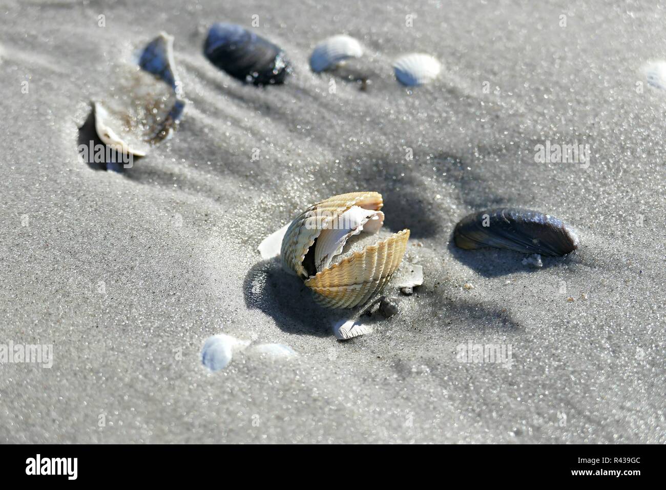 Meeresrestaurant hi-res stock photography and images - Alamy