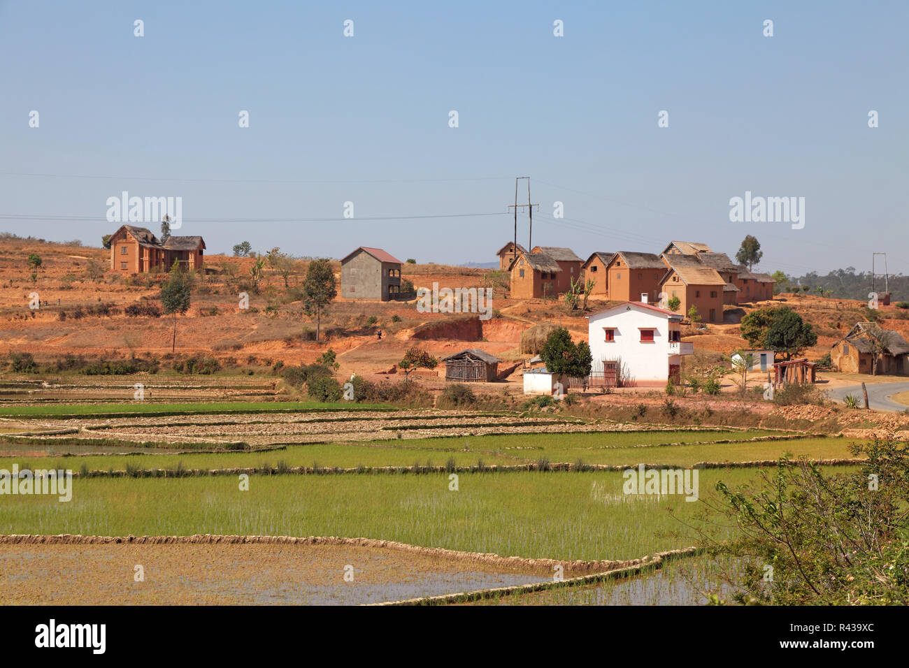 rice field at fianarantsoa,u200bu200bmadagascar Stock Photo - Alamy