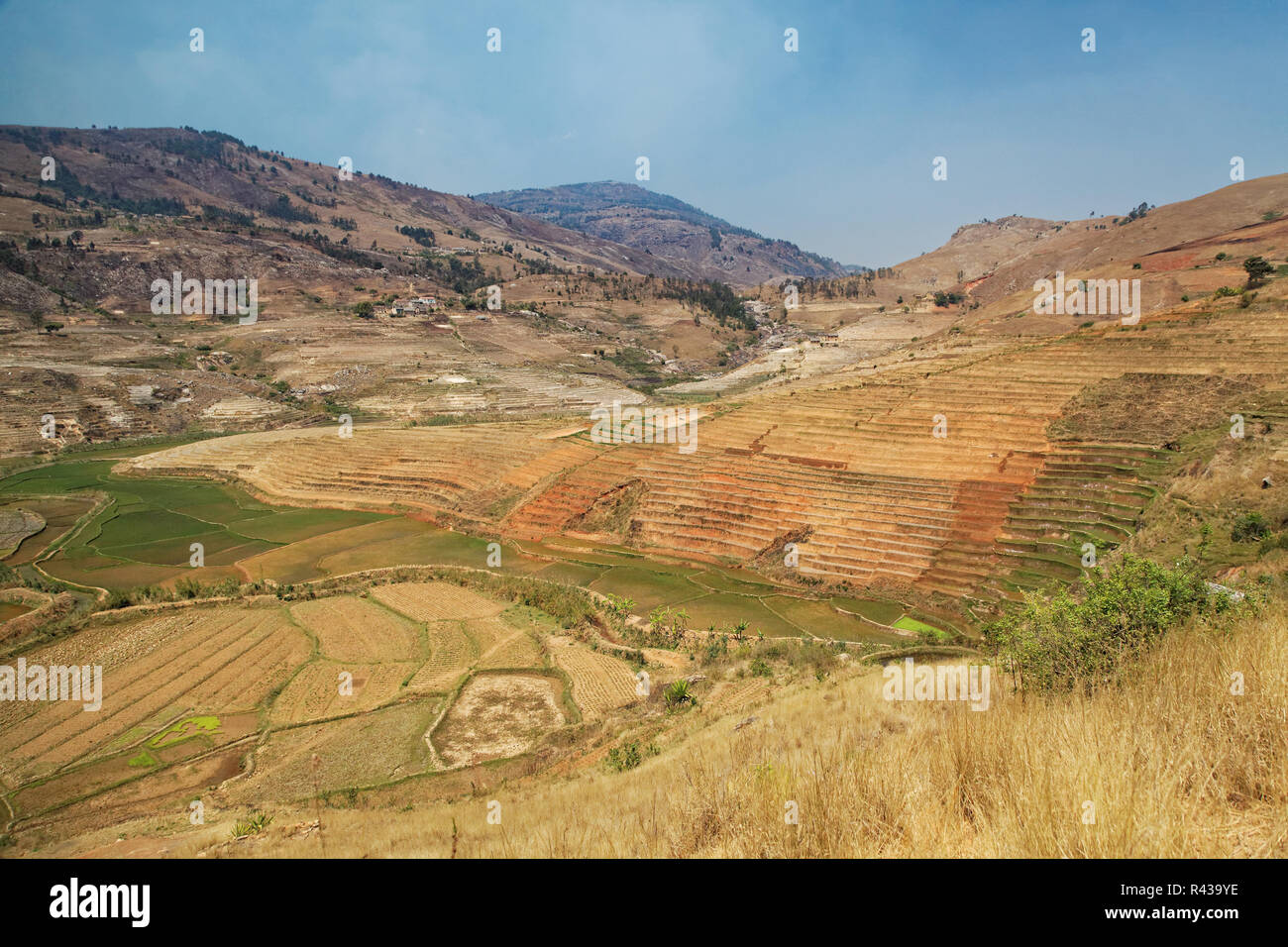 terrace farming in fianarantsoa,u200bu200bmadagascar Stock Photo - Alamy