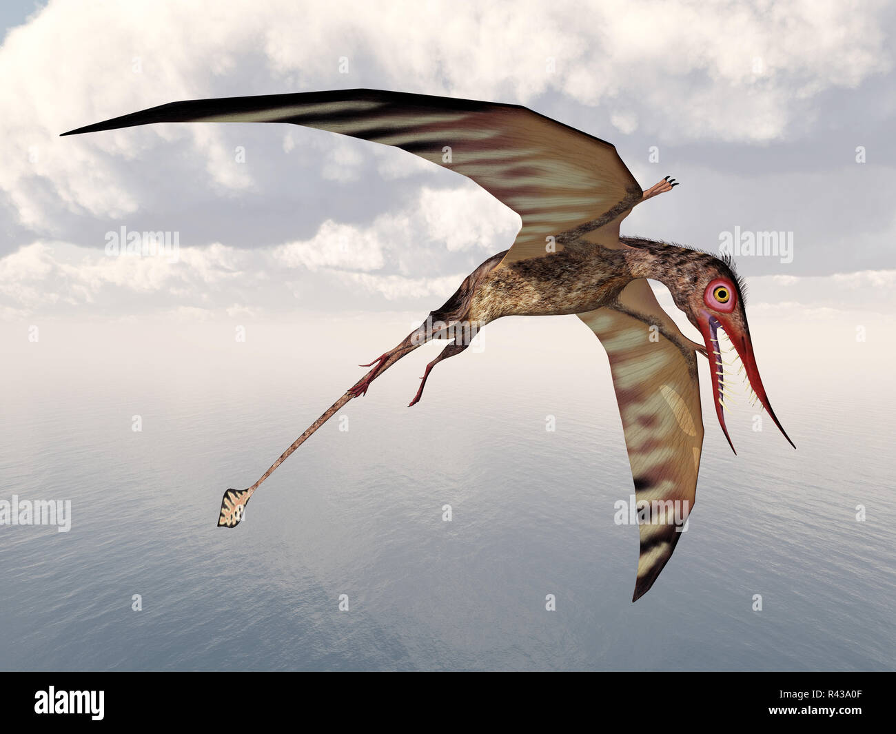 Pterosaurs rhamphorhynchus hi-res stock photography and images - Alamy