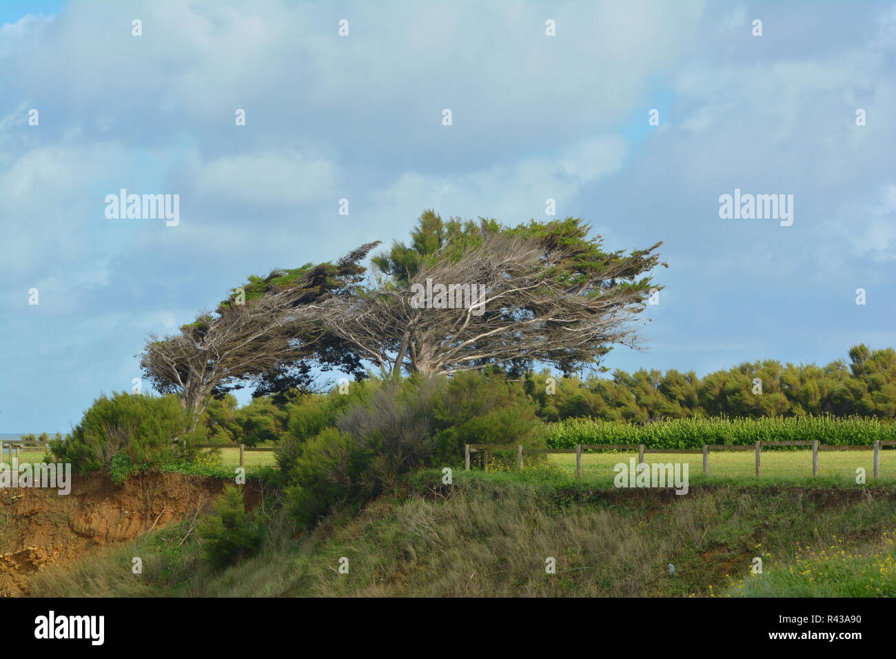 Storm formed hi-res stock photography and images - Alamy