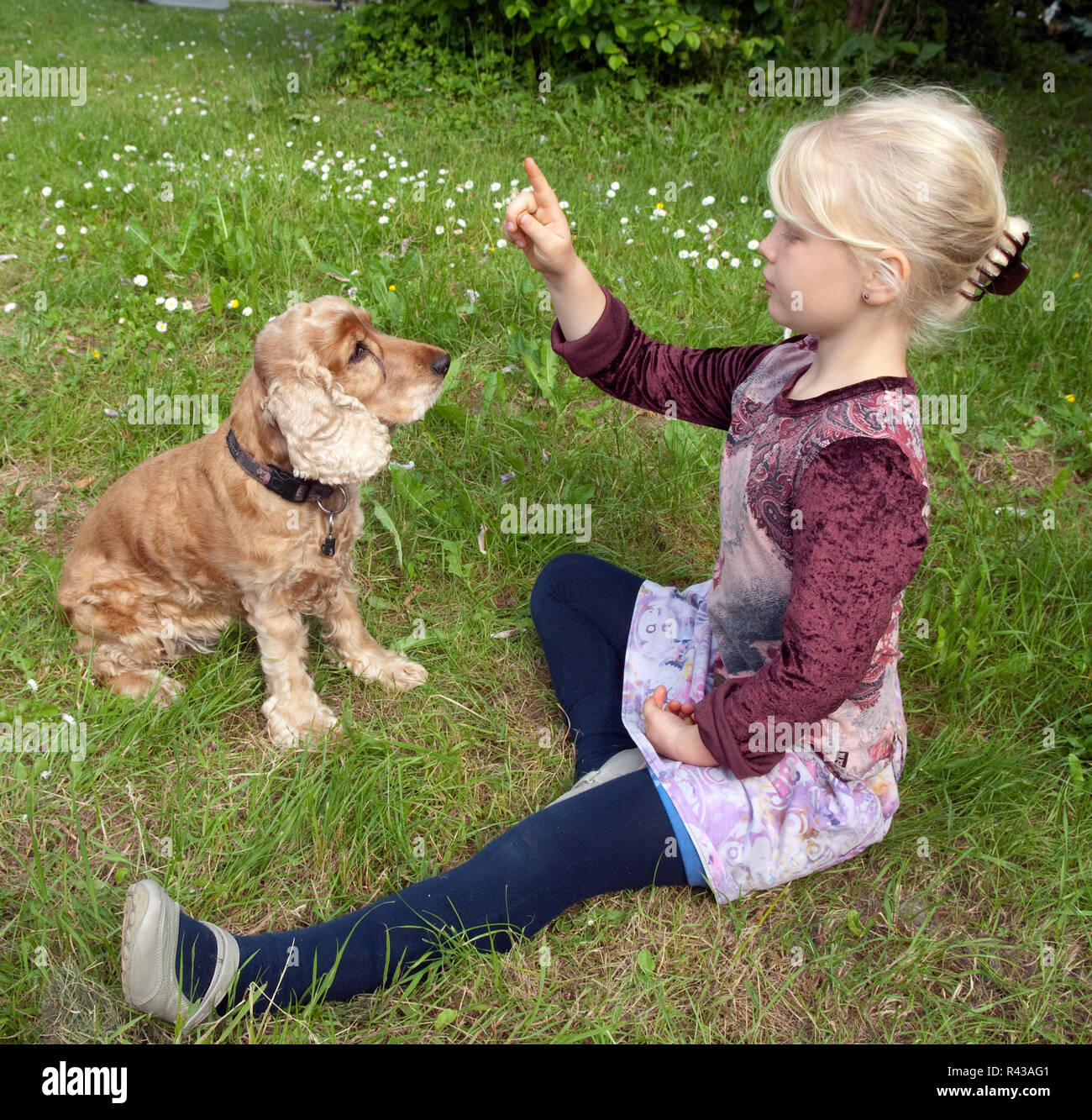 Blond children girl dog hi-res stock photography and images - Alamy