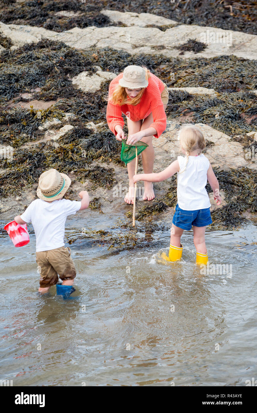Playing in rock pool hi-res stock photography and images - Alamy