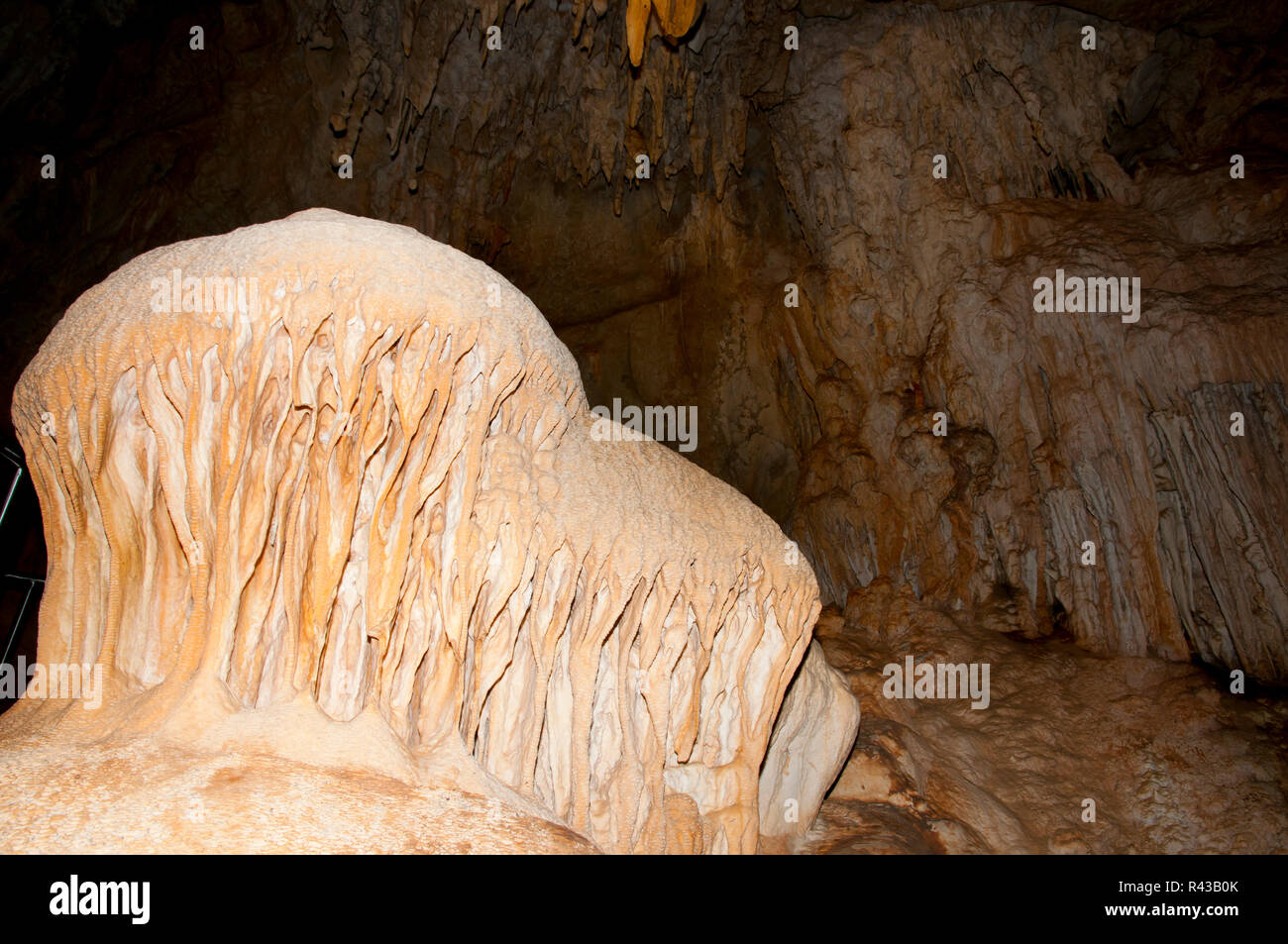 Lucas Cave - Jenolan Caves - Australia Stock Photo - Alamy