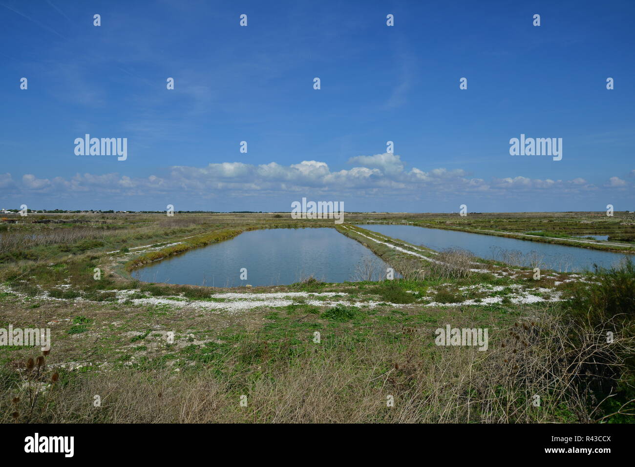 salt extraction on the atlantic Stock Photo - Alamy