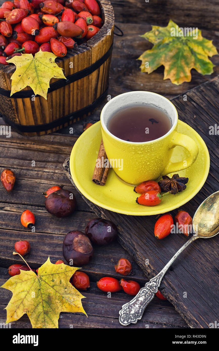 Mug rose hips tea hi-res stock photography and images - Alamy