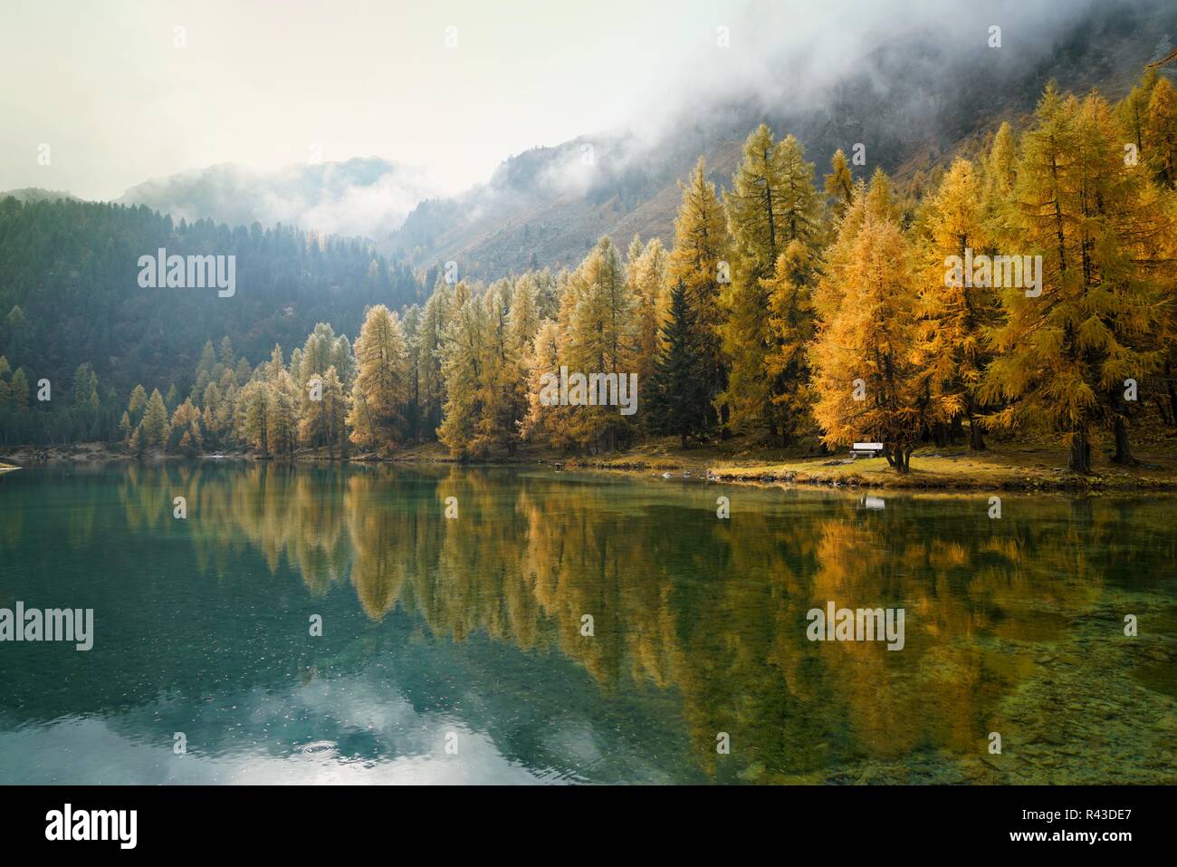 Albula alpen hi-res stock photography and images - Alamy