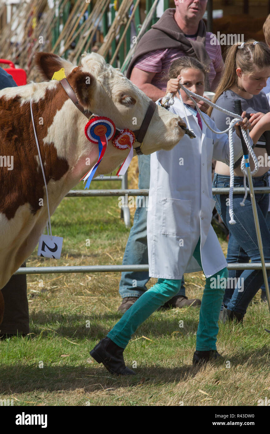 Female farmer cattle hi-res stock photography and images - Alamy
