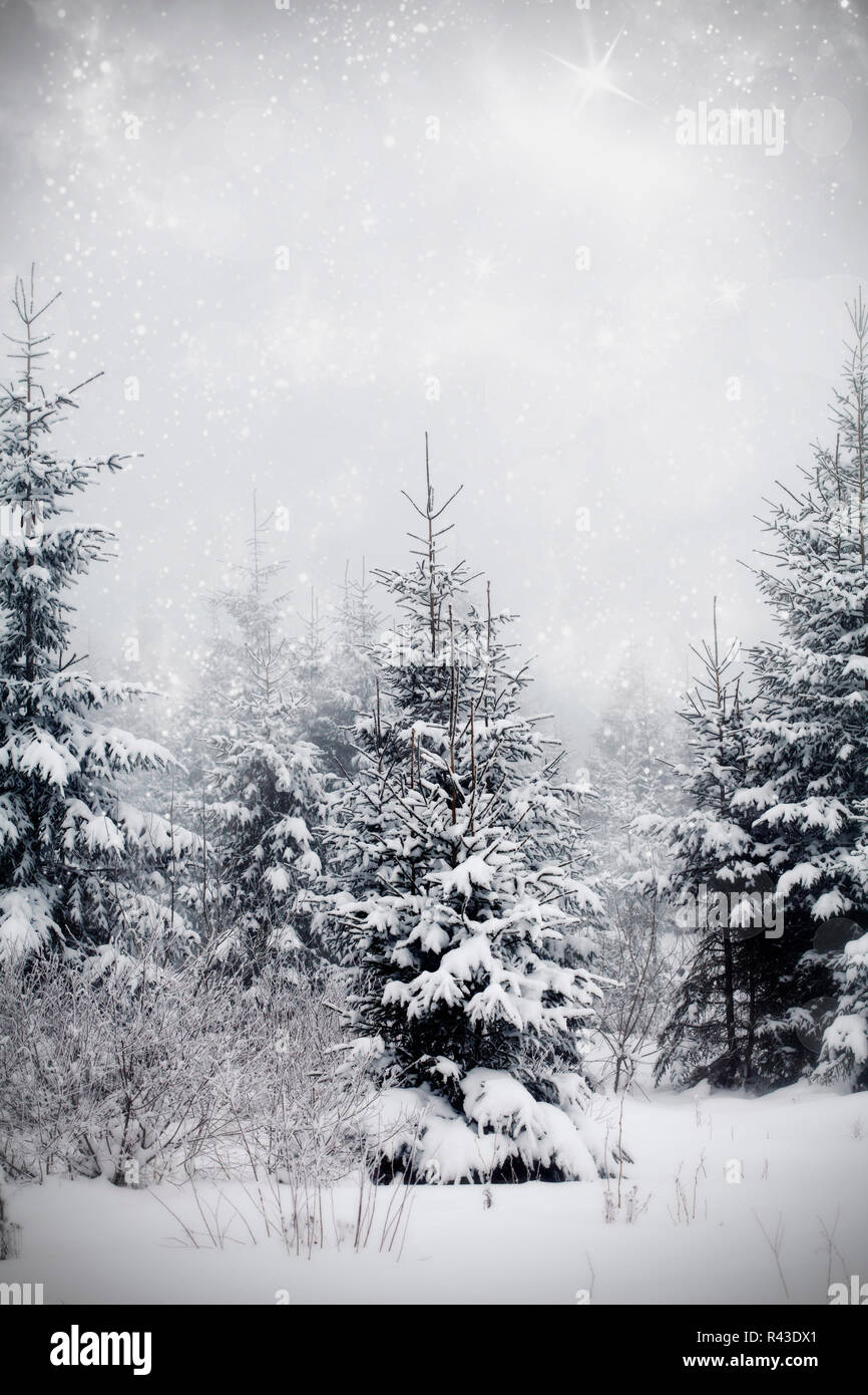 Christmas background with snowy fir trees Stock Photo - Alamy