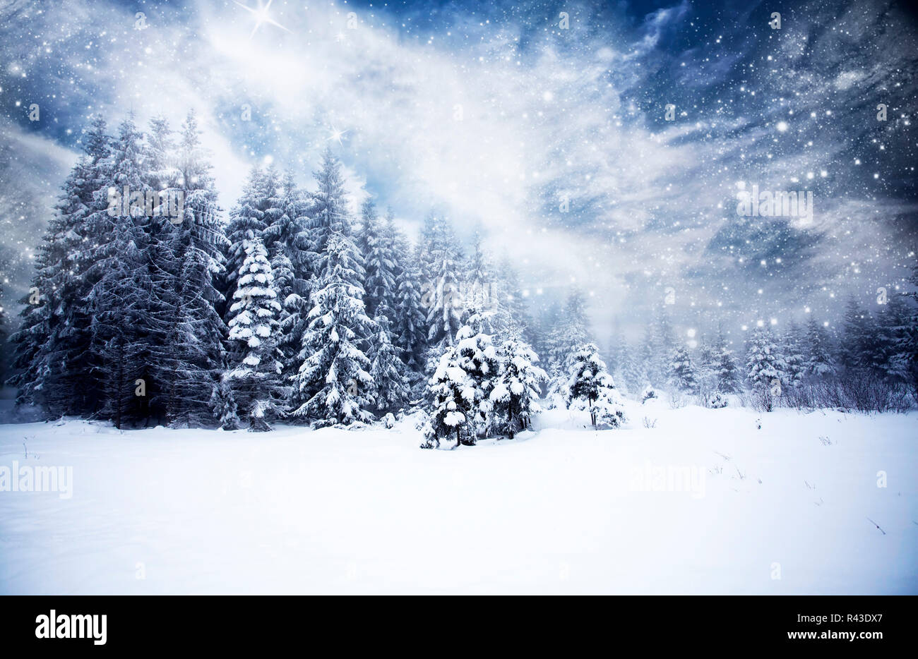 Christmas background with snowy fir trees Stock Photo - Alamy