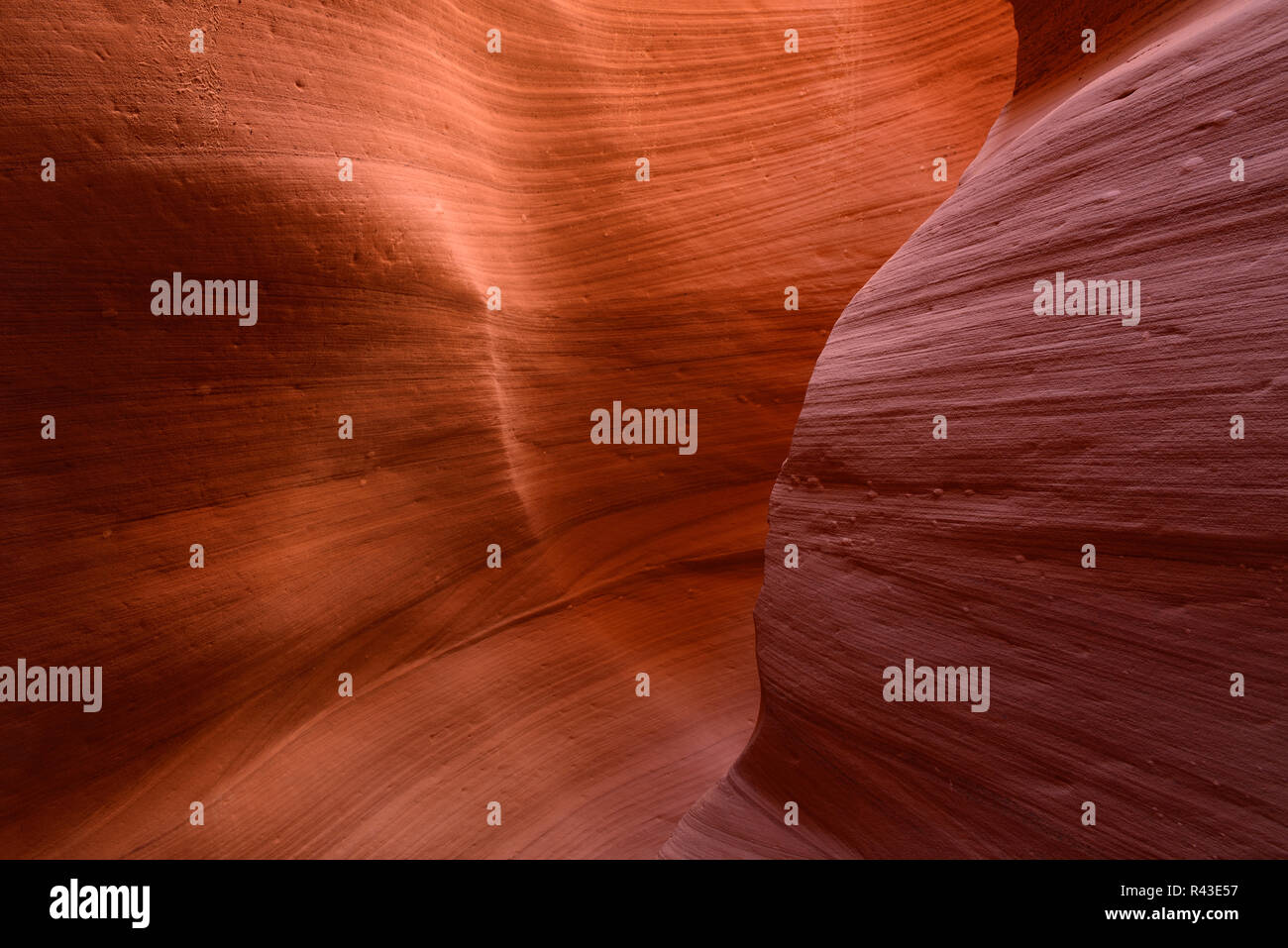 Disrobed High Resolution Stock Photography and Images - Alamy