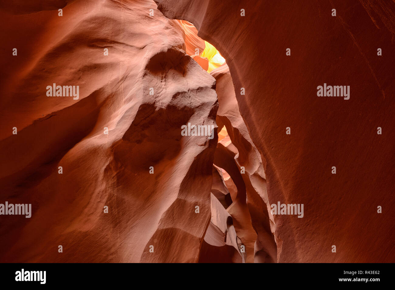 Disrobed hi-res stock photography and images - Alamy