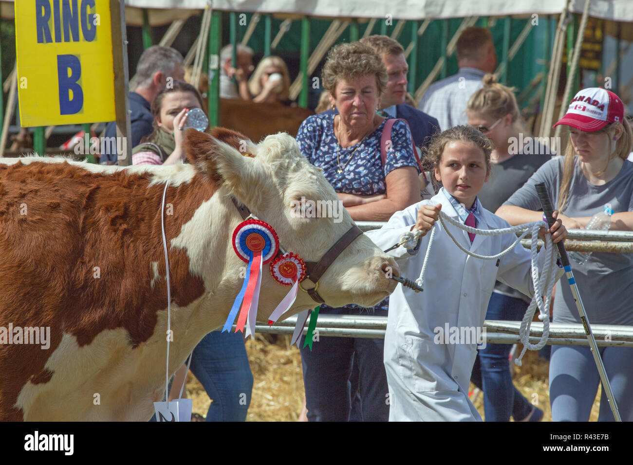 Agricultural Show. Aylsham. August Bank Holiday Monday. Blickling ...