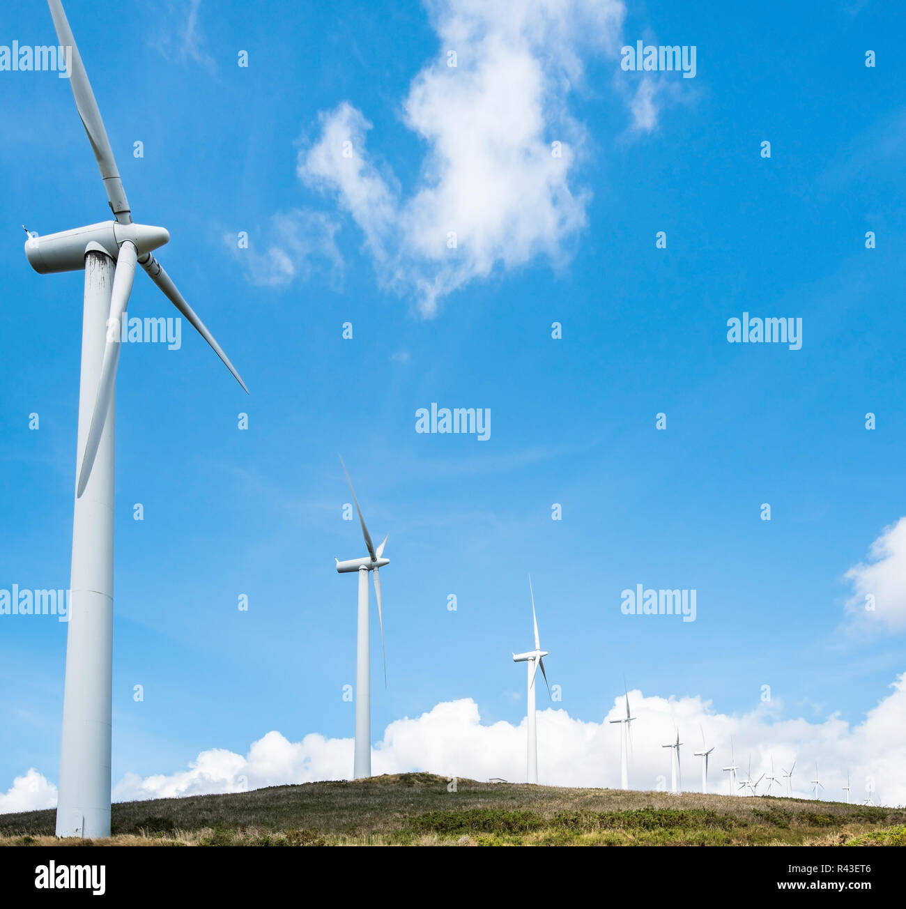 onshore wind turbines for electricity generation in wind farm Stock ...