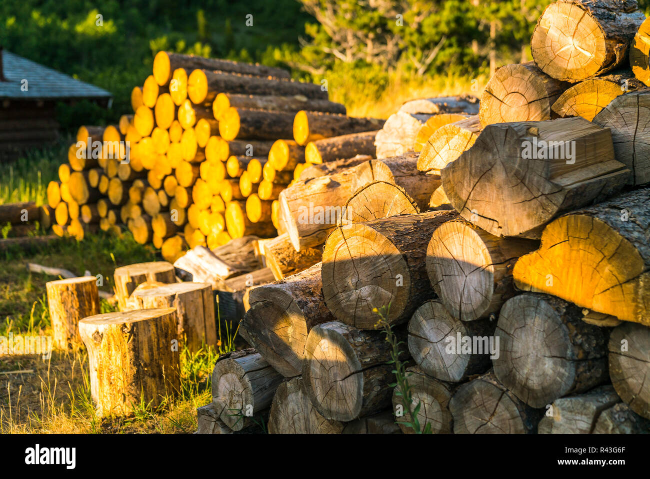 stack of log woods Stock Photo - Alamy