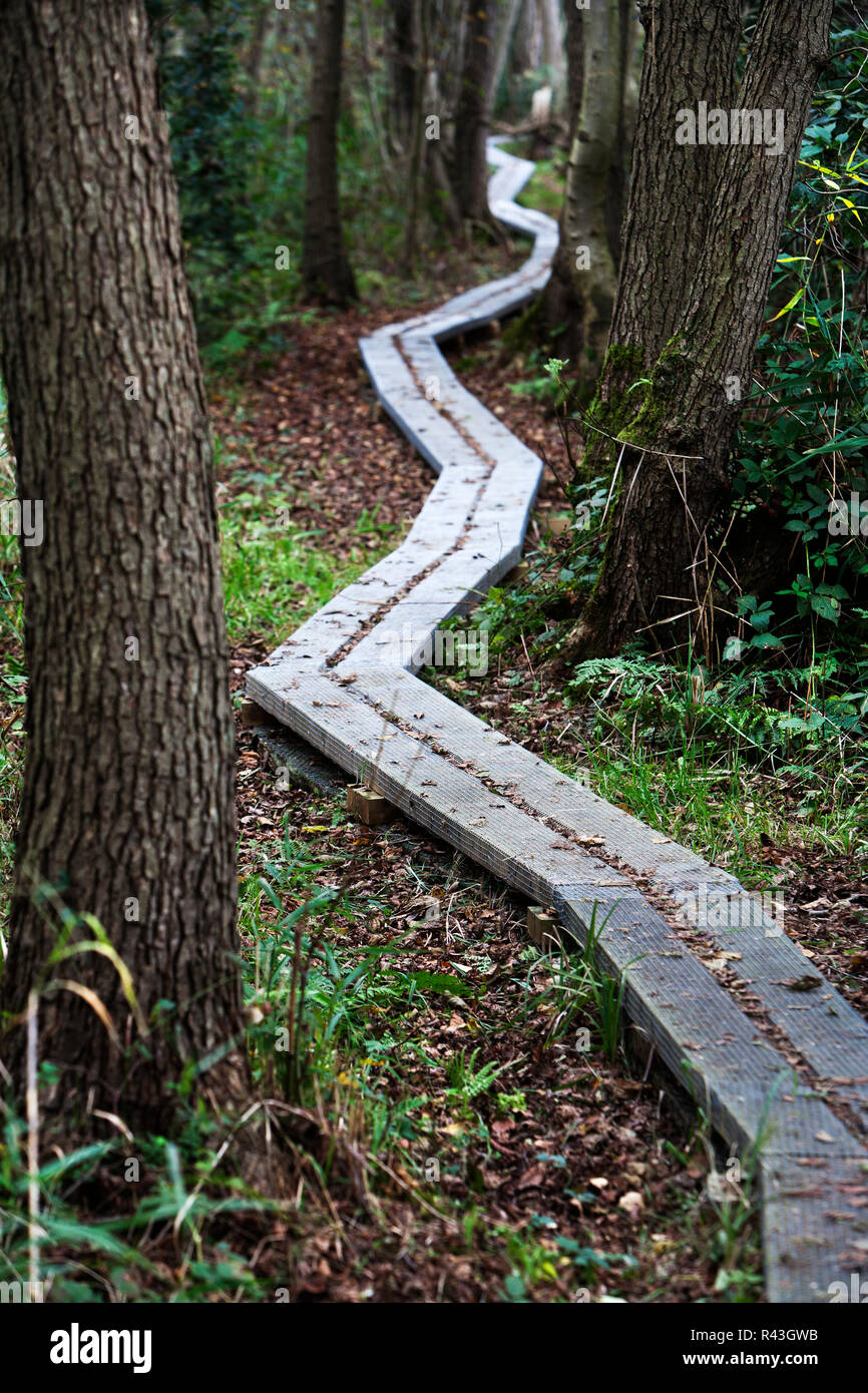 Keep on track Stock Photo - Alamy