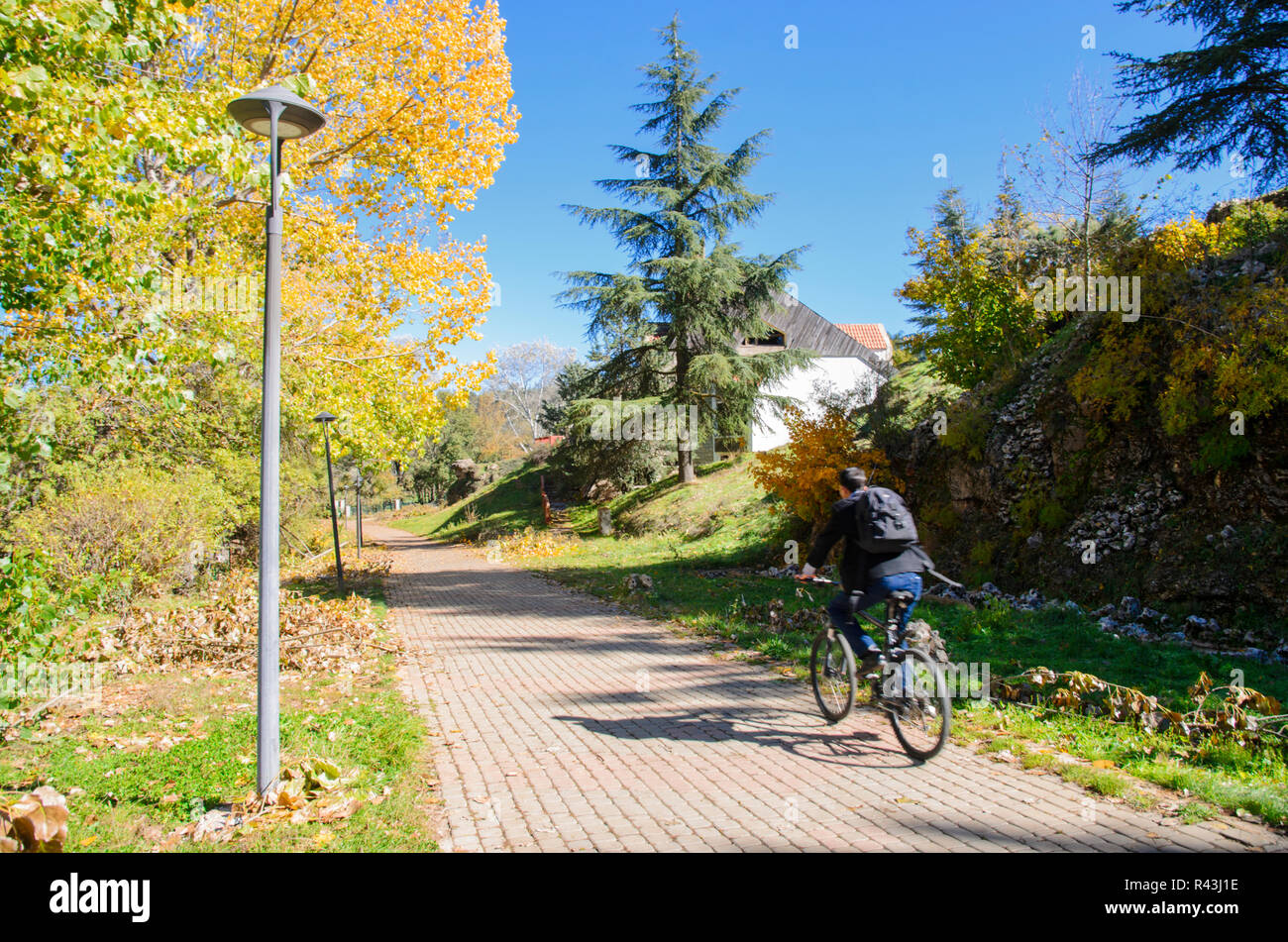 beautiful autumn forest lake in Ifrane, Morocco. autumn leaves fall ...