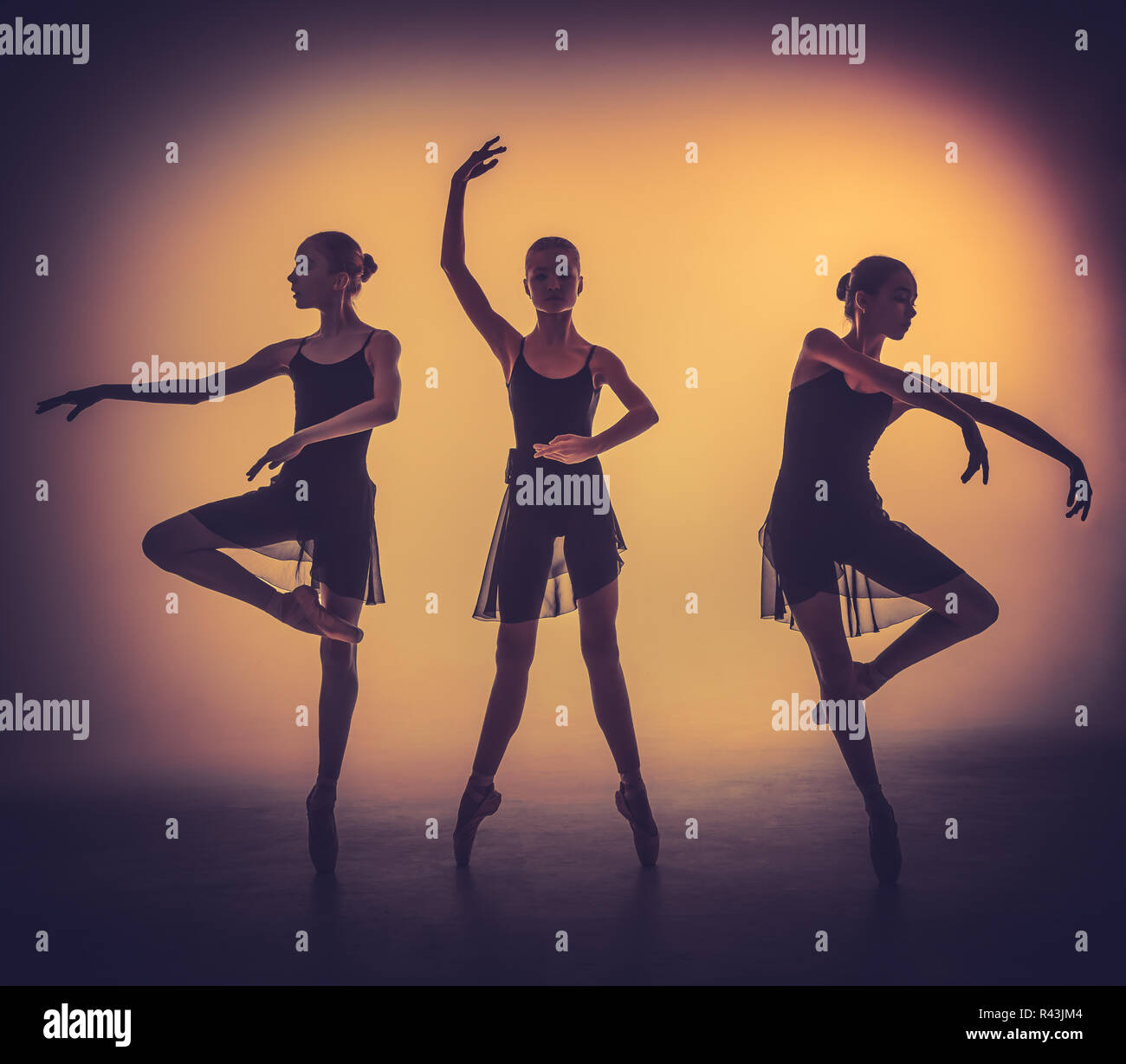 The silhouettes of young ballet dancers posing on a gray backgro Stock ...