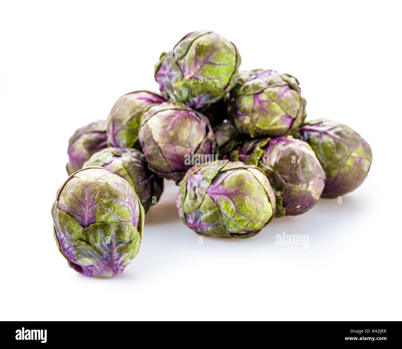 Hardy brussels sprouts hi-res stock photography and images - Alamy