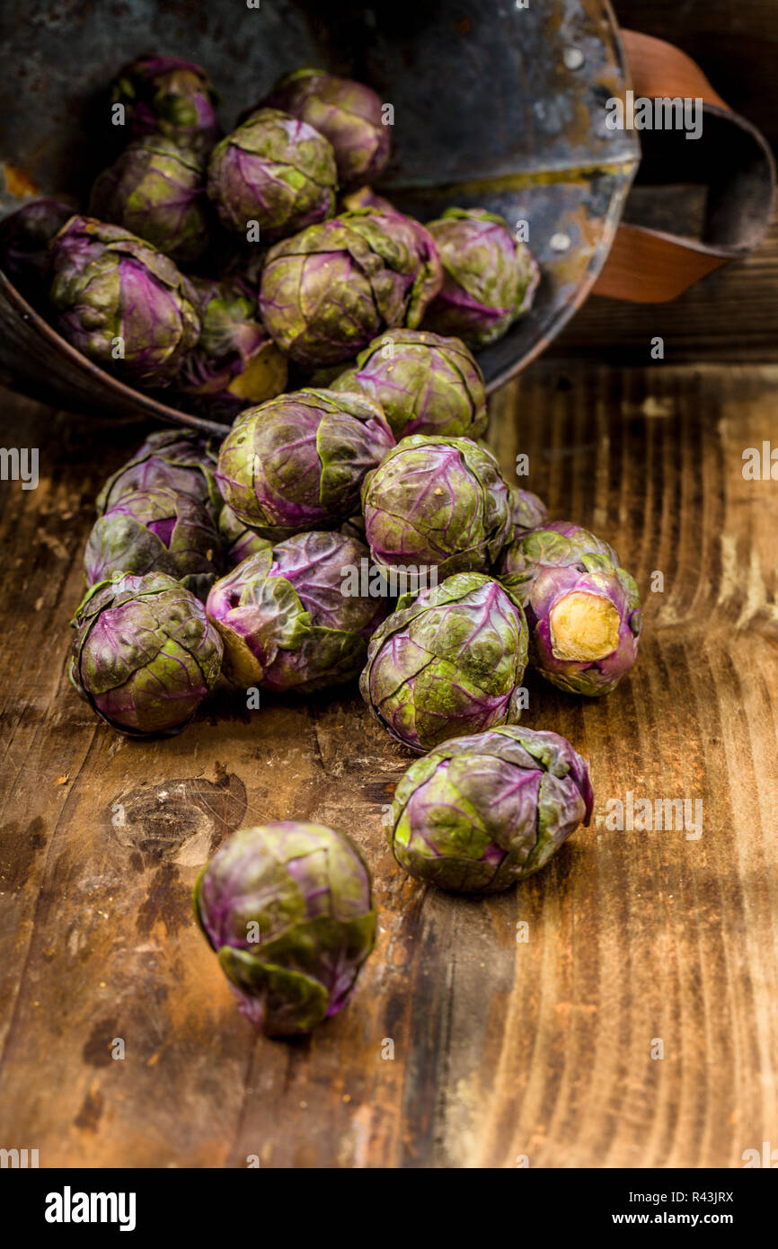 Hardy brussels sprouts hi-res stock photography and images - Alamy